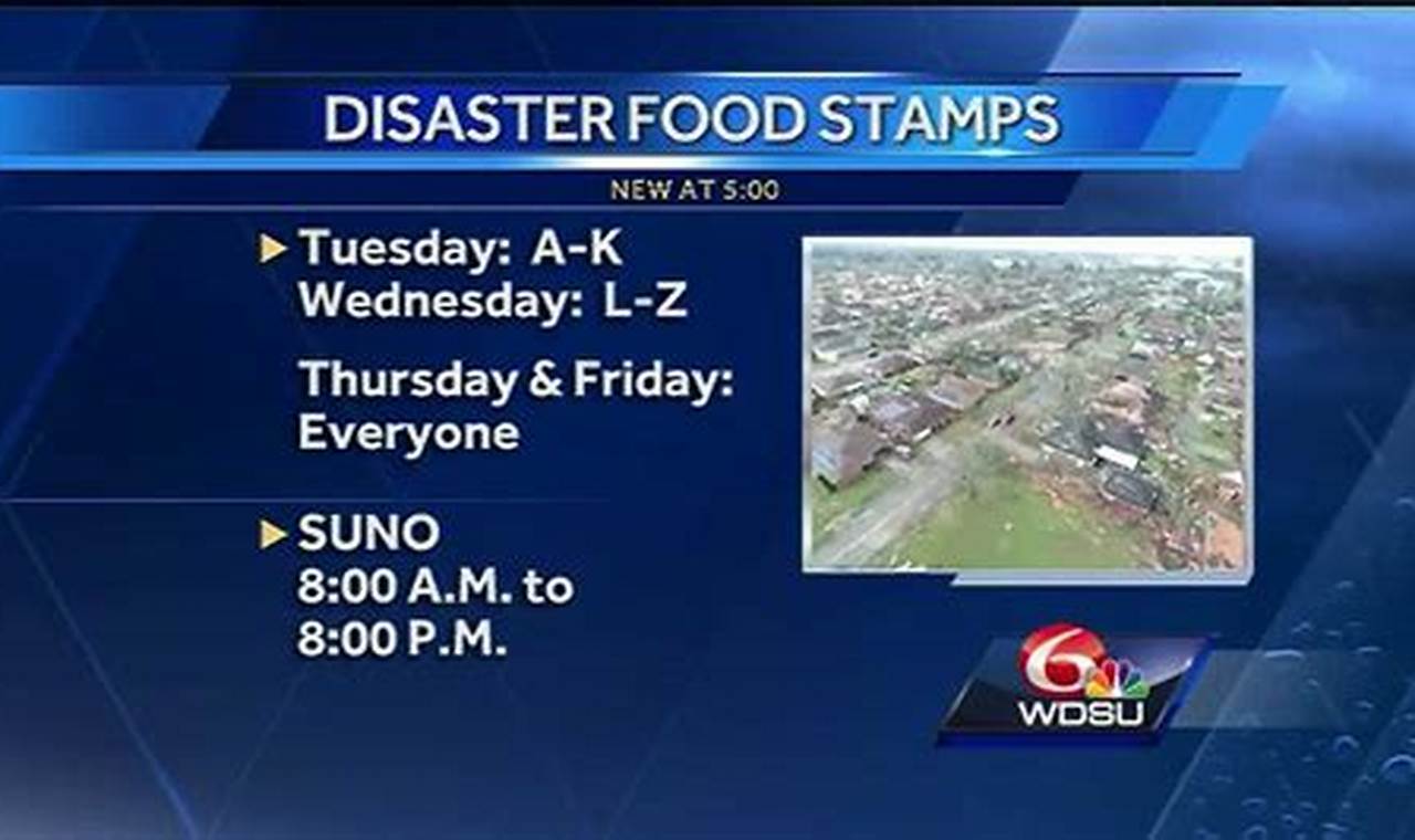 Hurricane Food Stamp Relief: Guide & Resources