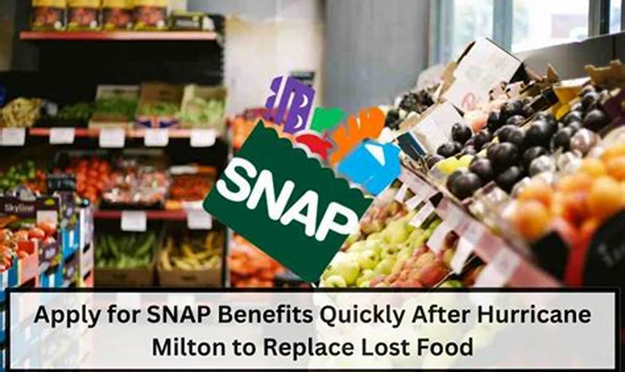 Hurricane Milton: Food Stamp Replacement Guide