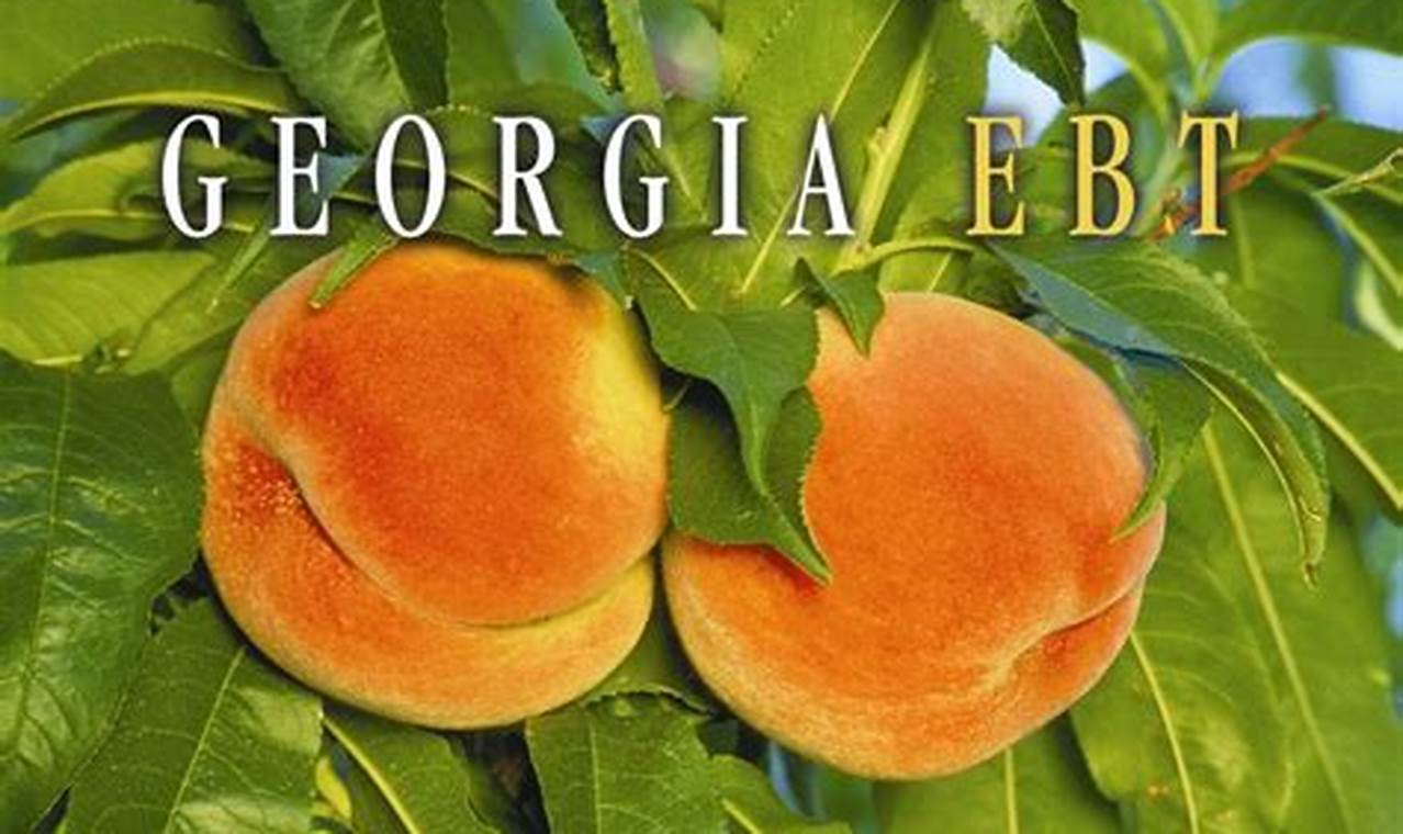 Lost Georgia Food Stamp Card? Replacement Guide