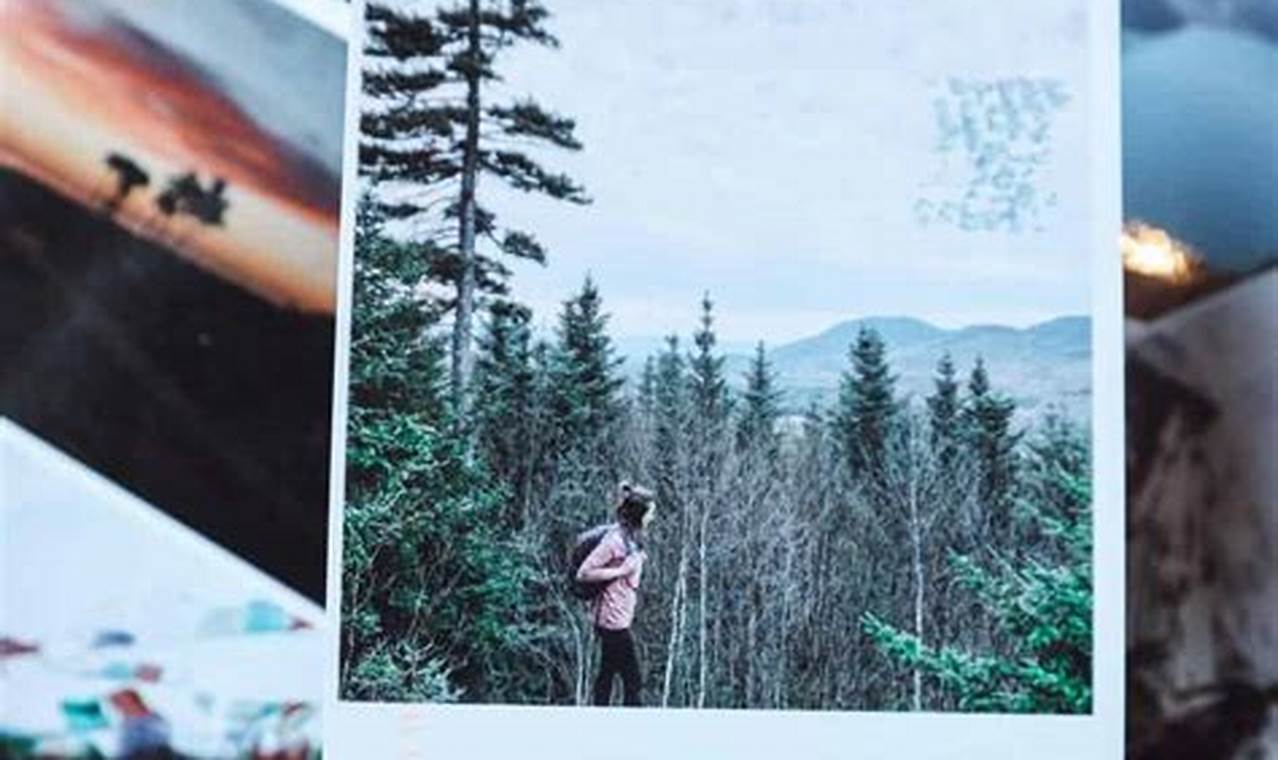 Design & Send Postcards Online | Easy & Fast