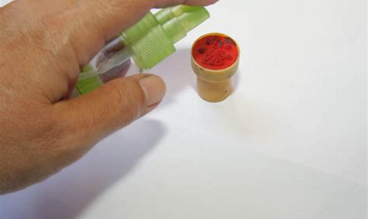 Easy Rubber Stamp Cleaning Tips & Tricks
