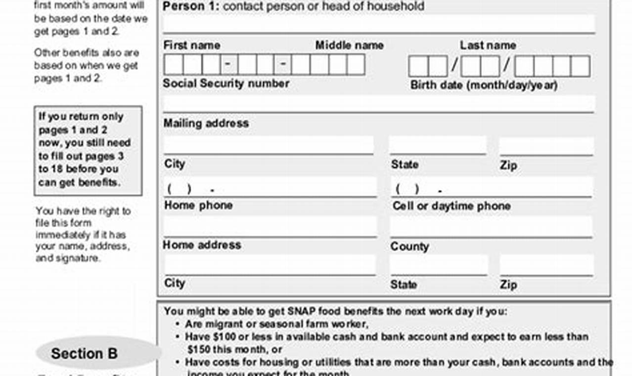 Download Texas Food Stamp Application PDF Now
