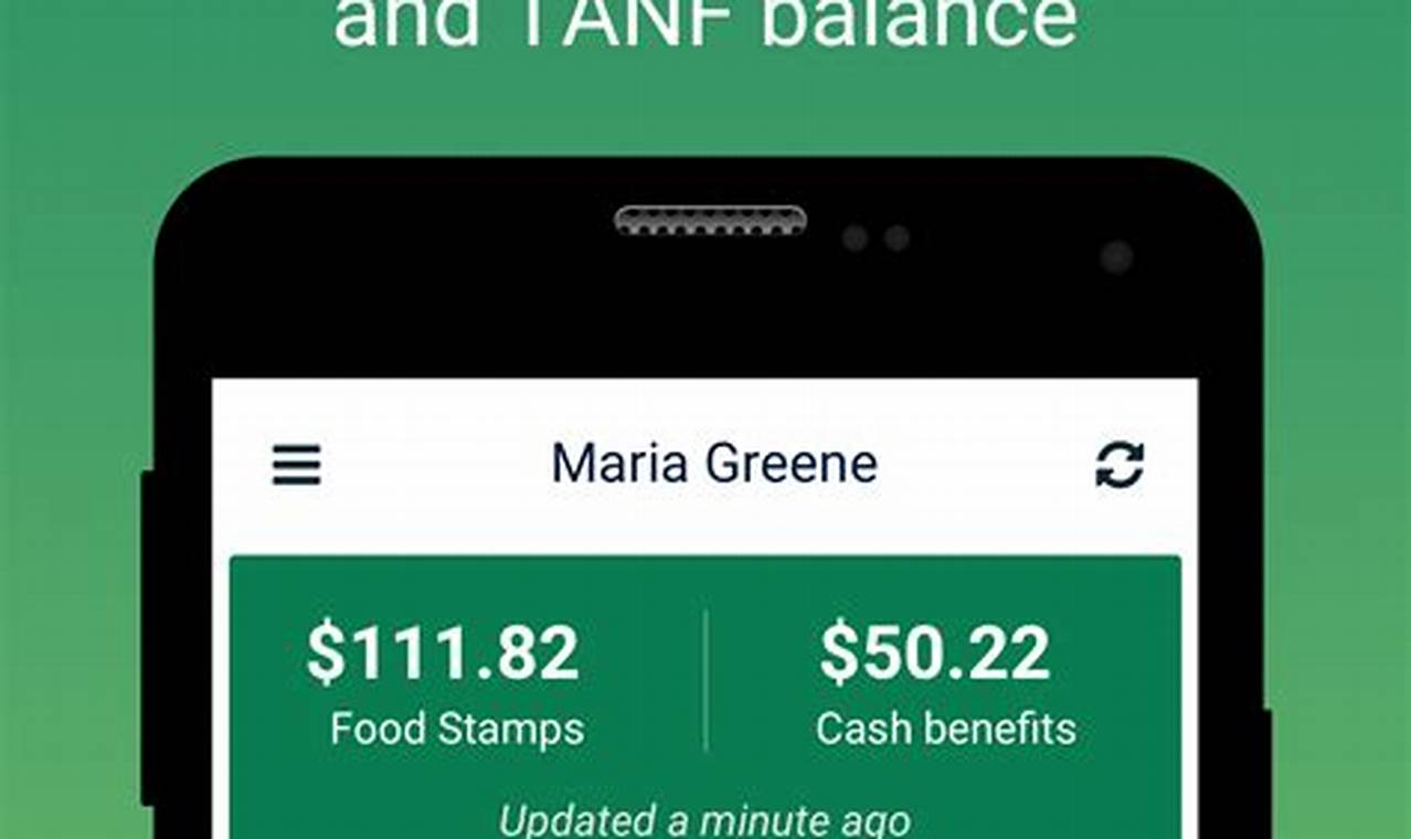 Food Stamp Balance Nm