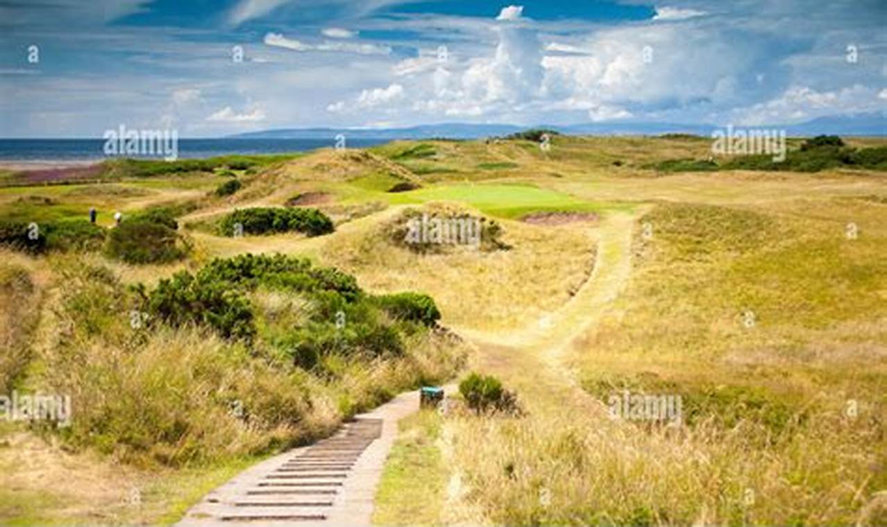 Is Your 8th Stamp Hole Open? Philatelic Guide