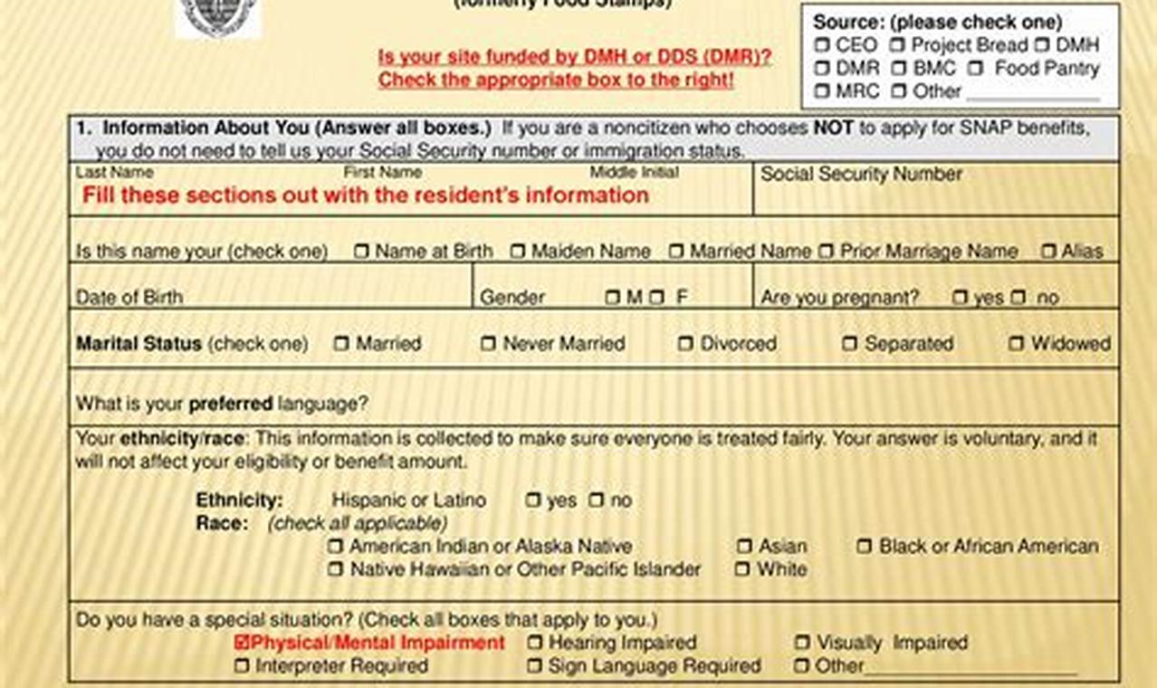 Apply for SNAP Food Stamps in MA - Easy Guide