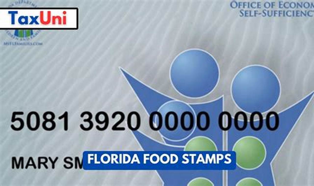 Florida Food Stamp Requirements: A 2024 Guide