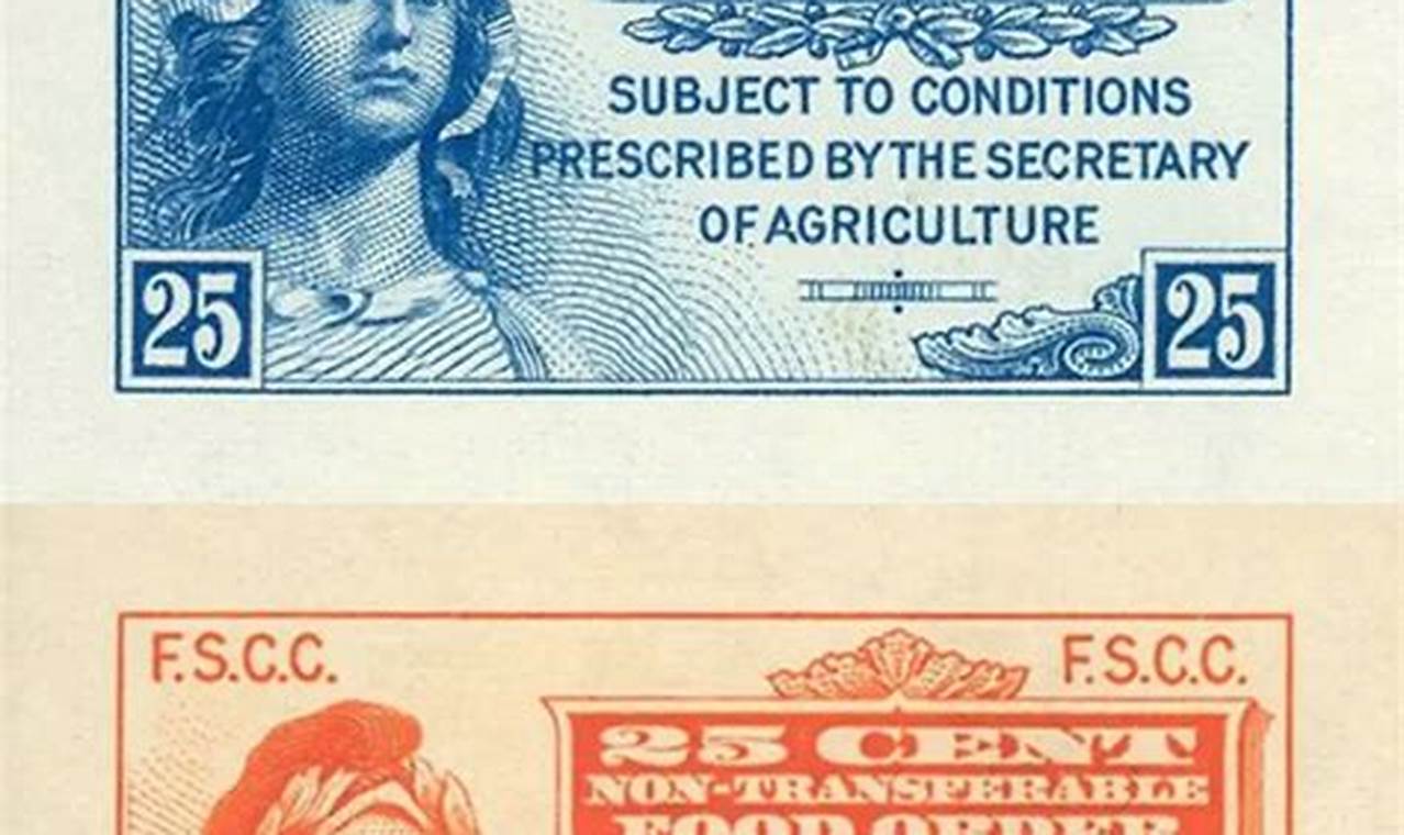 SNAP Benefits: Understanding the Picture of Food Stamps