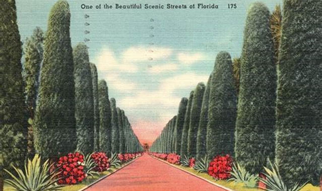 Vintage Postcard Treasures: Exploring 1950s History