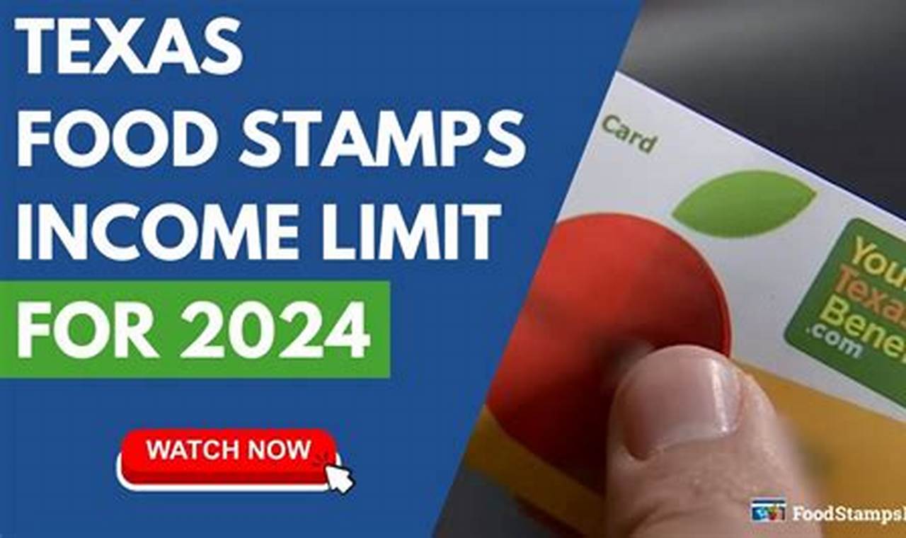 Texas Food Stamp Amount Guide & Calculator