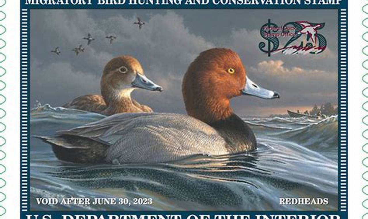 Modernized Duck Stamp Act: A Conservation Milestone