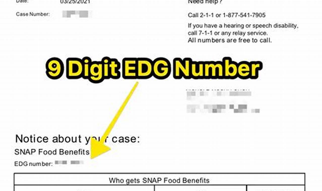 KY Food Stamp Helpline & Application Info