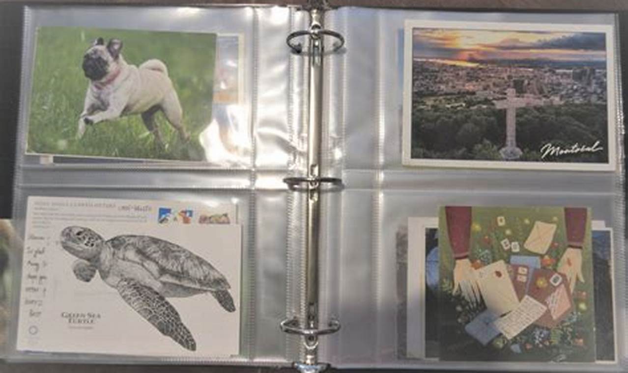 Postcard Organizer