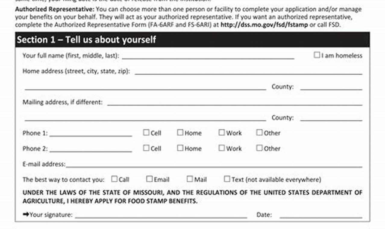 Check Your MO Food Stamp Application Status Online