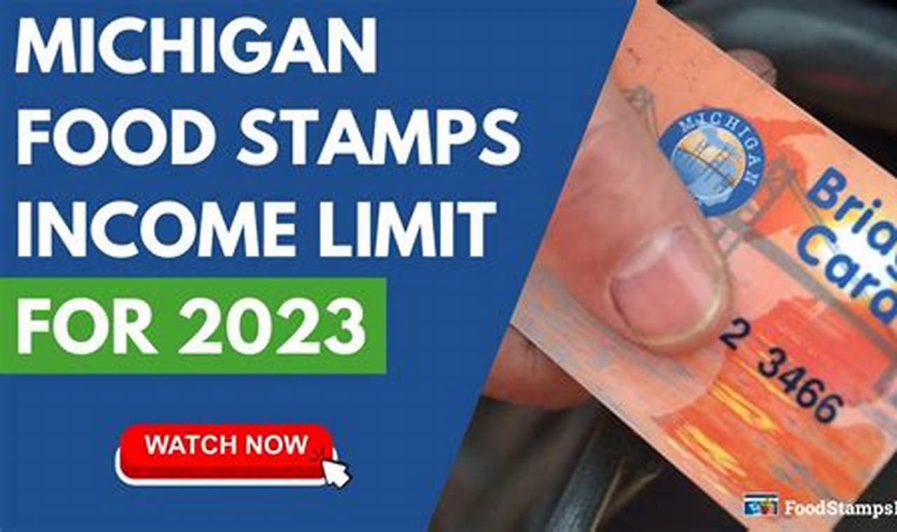 Michigan Food Stamp Card Guide & FAQs
