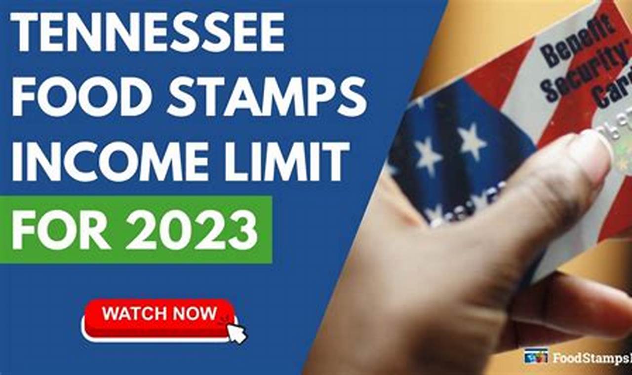 TN Food Stamp Card Number: Accessing Your Benefits