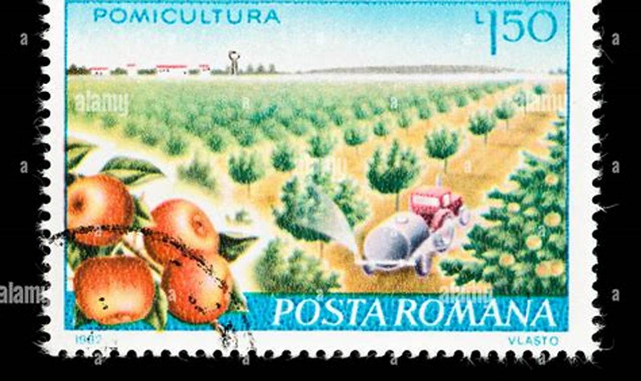Maximize Your Postage Stamp Orchard's Yield