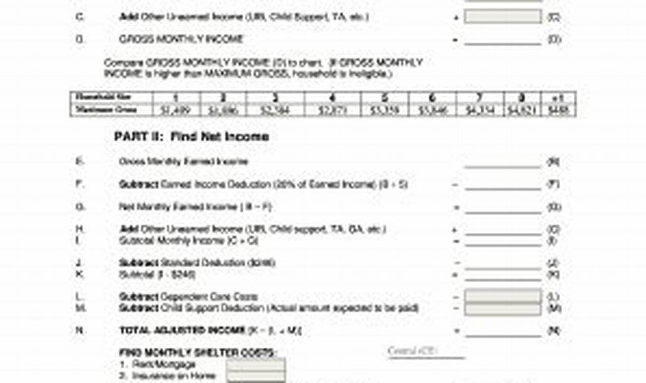 Maximize Your Food Stamp Budget: A Planning Guide