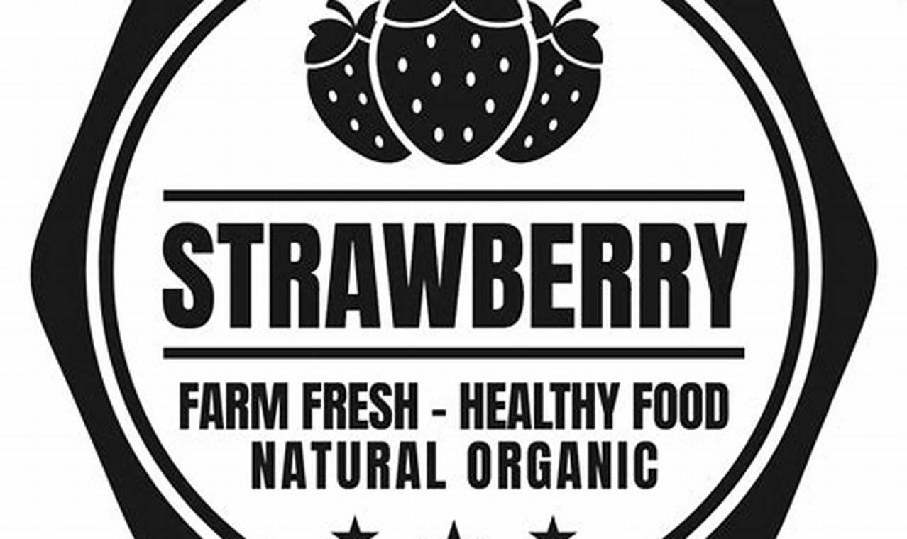 Modern Food Stamp Design: Best Practices & Innovations
